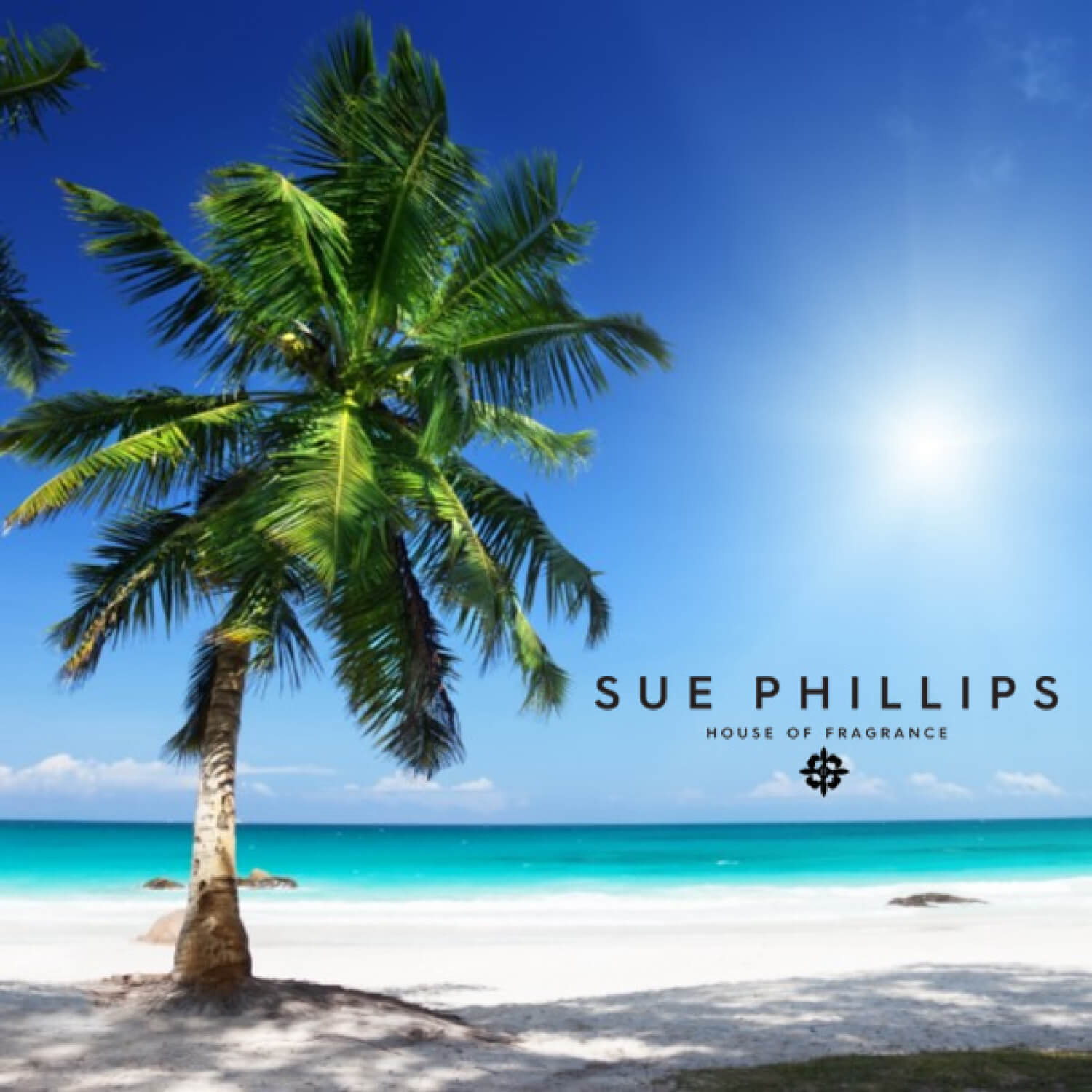 Sue Phillips - Artisan Scents Fresh Blend for $16.95 per month | Scentbird