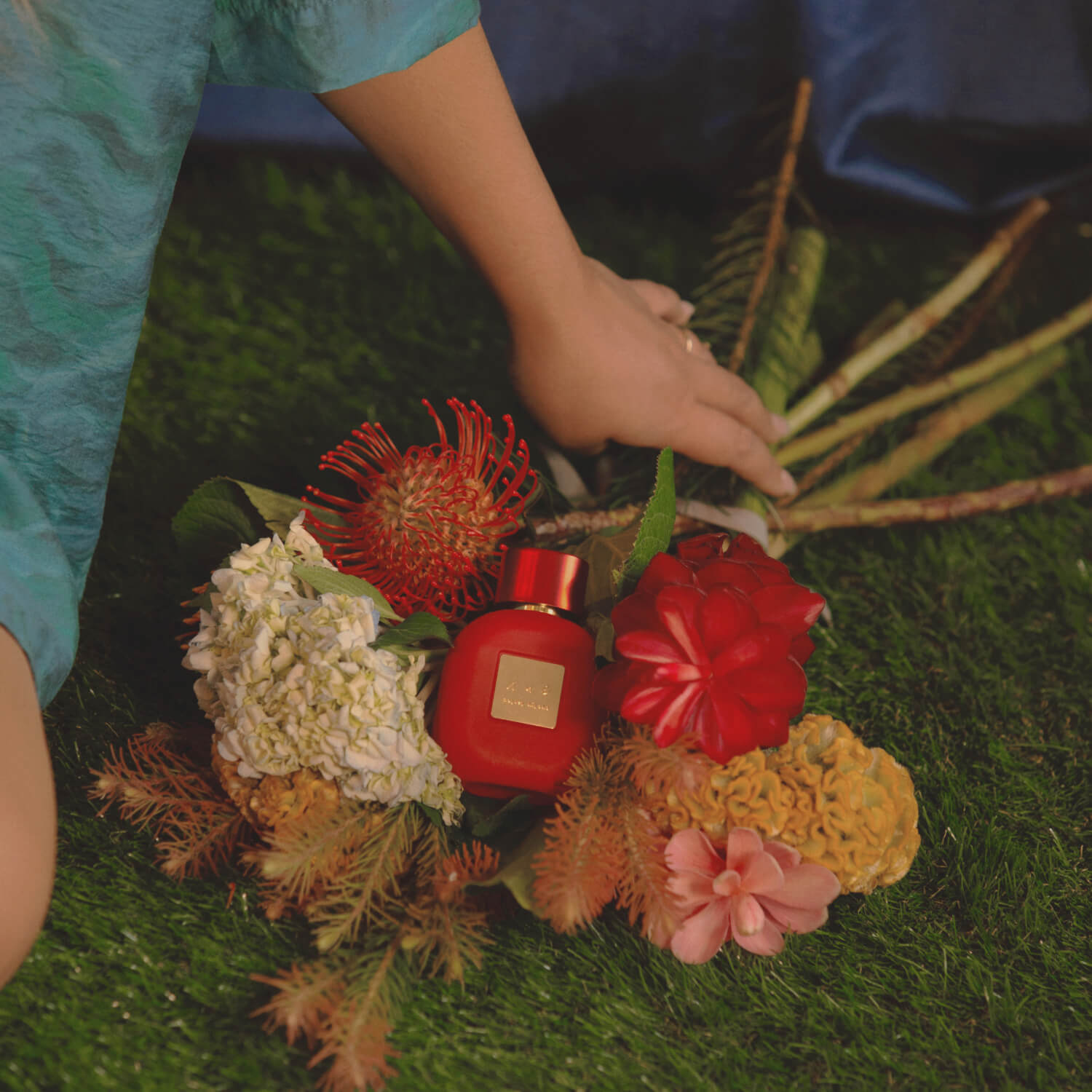 Hayley Kiyoko Hue for $16.95 per month | Scentbird