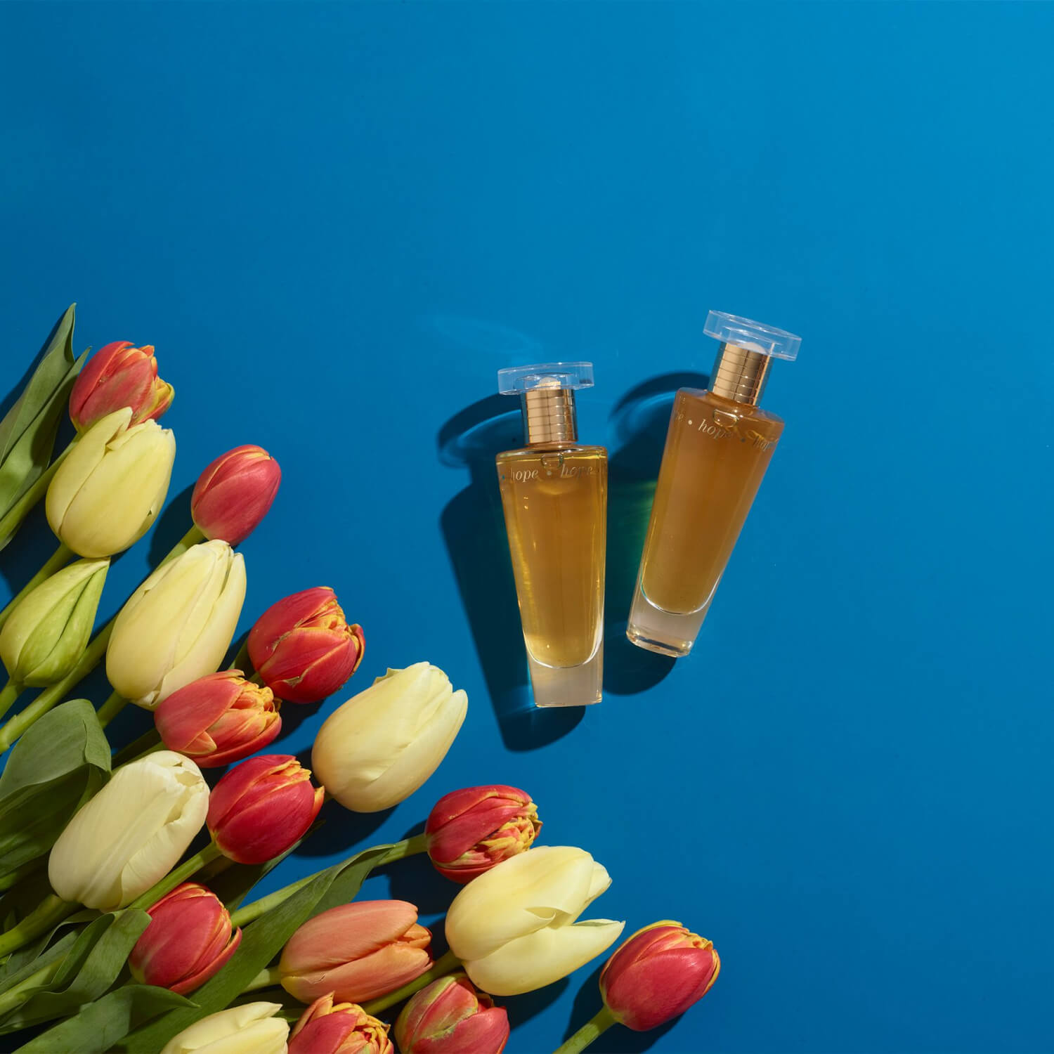 Hope Fragrances Hope for $16.95 per month | Scentbird